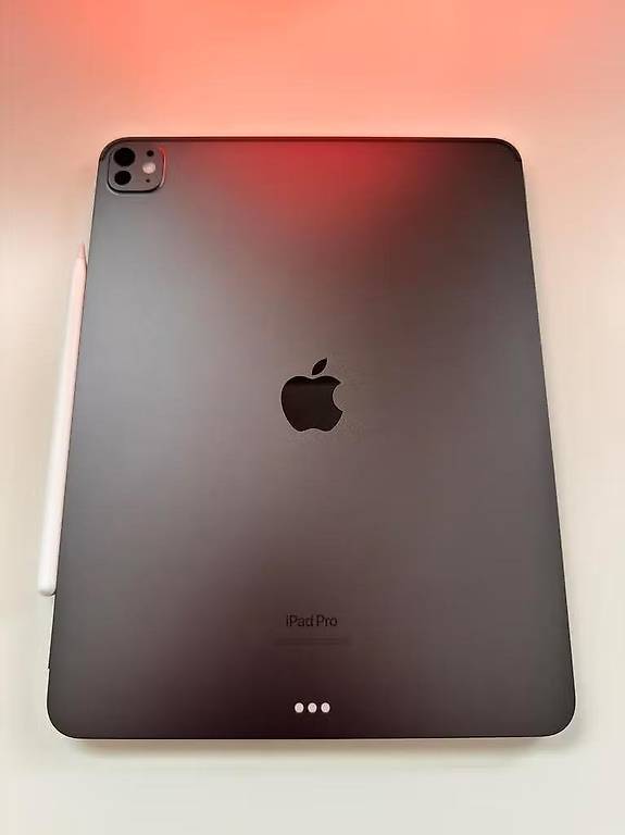 iPad Pro 13 M4 256GB + Magic Keyboard und Apple Pencil Pro im Kanton ...