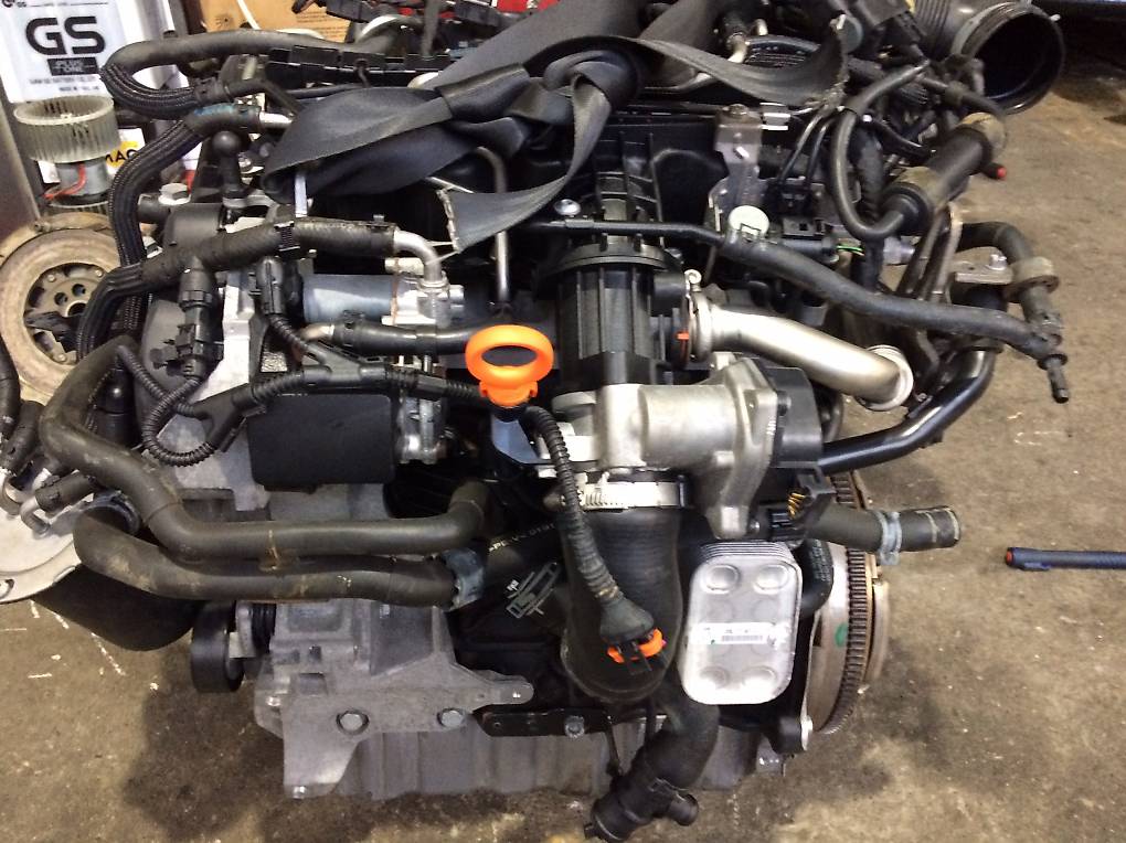 CAYC VW Motor 1.6 tdi im Kanton Luzern - tutti.ch