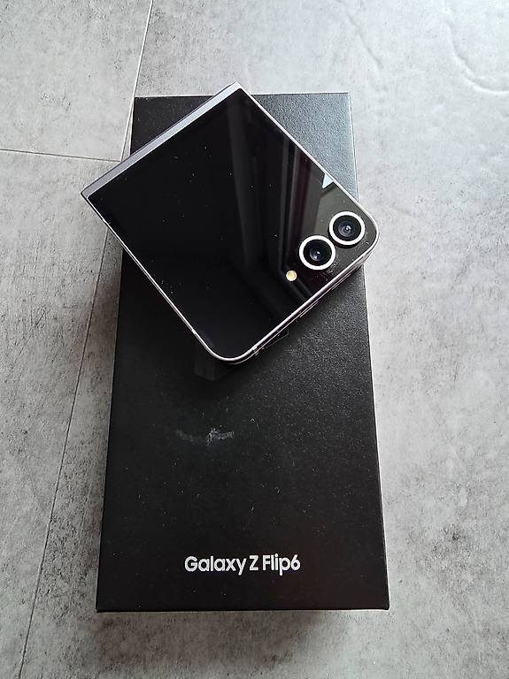 Samsung Galaxy Z Flip6 512 GB Silver Shadow - tutti.ch