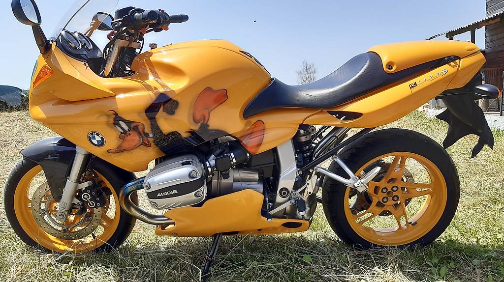 Motorrad BMW R1100S im Kanton Thurgau - tutti.ch