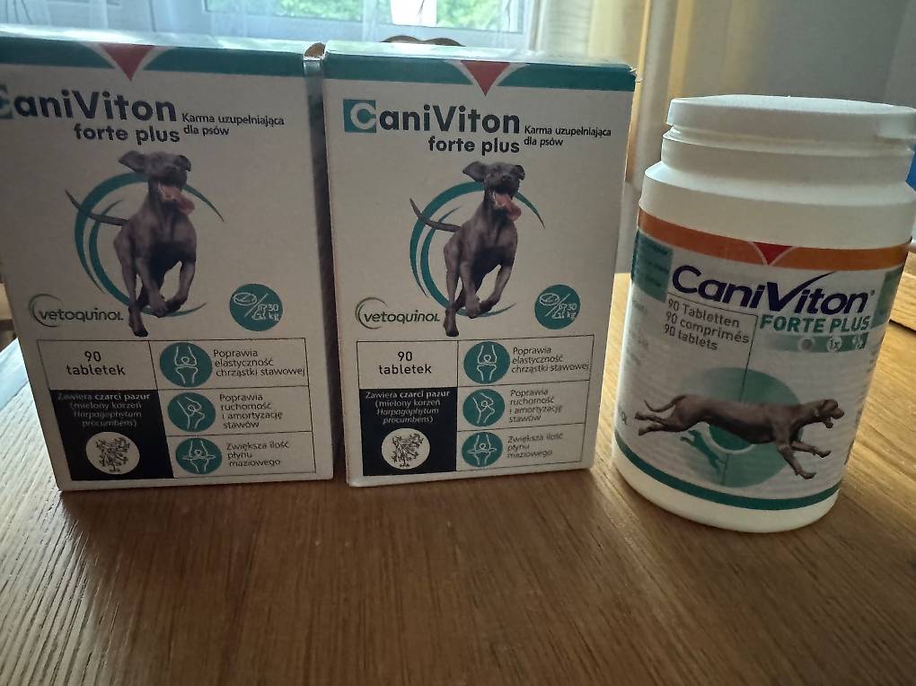 Cani Viton forte plus Cantone Turgovia - tutti.ch