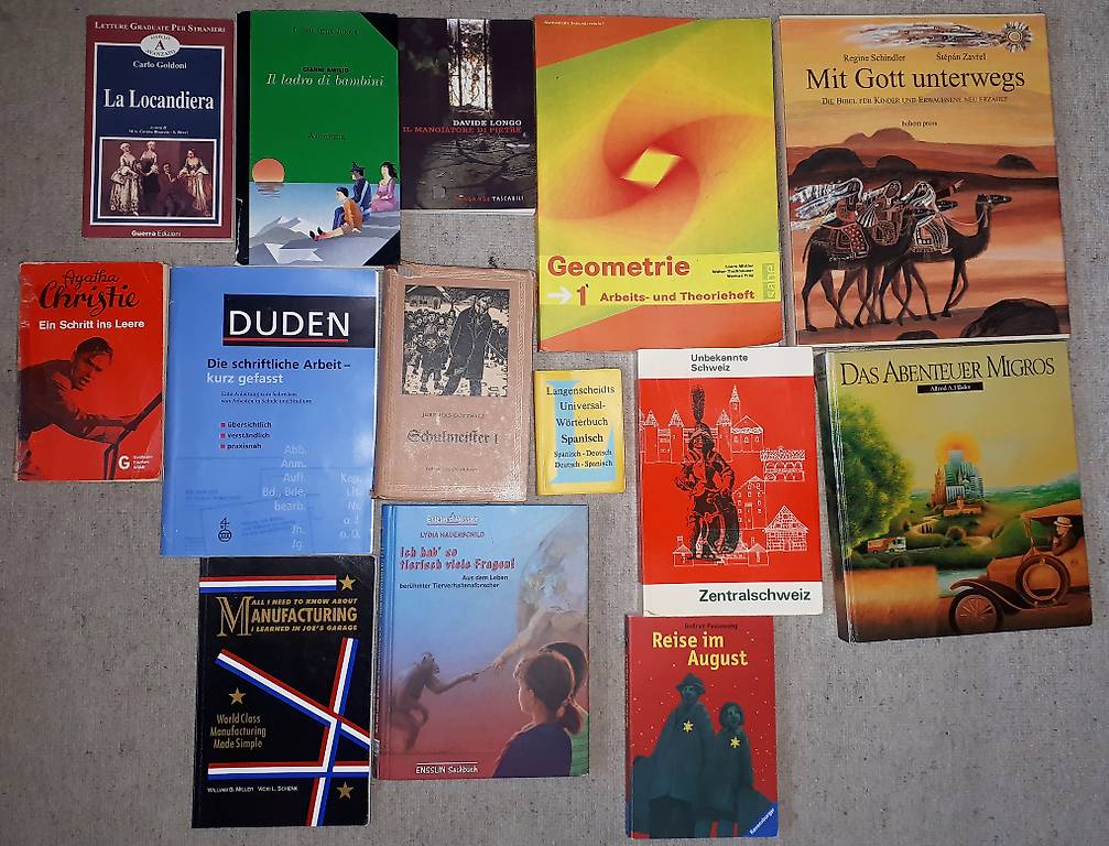 30 Romane, Literaturwerke, Sachbücher (DE/EN/IT/FR) im Kanton Luzern ...