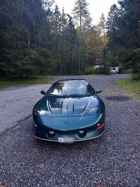 Pontiac Firebird 5.7 Lt1 Trans Am im Kanton Luzern - tutti.ch