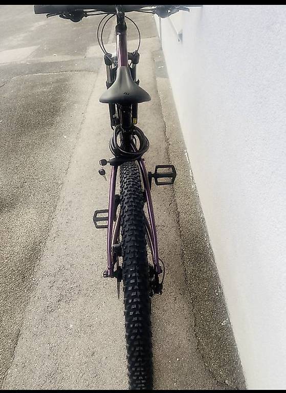 Contessa scott im Kanton Tessin - tutti.ch