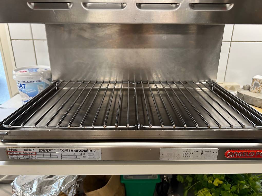 Salamander von Angelo Po im Kanton Aargau - tutti.ch