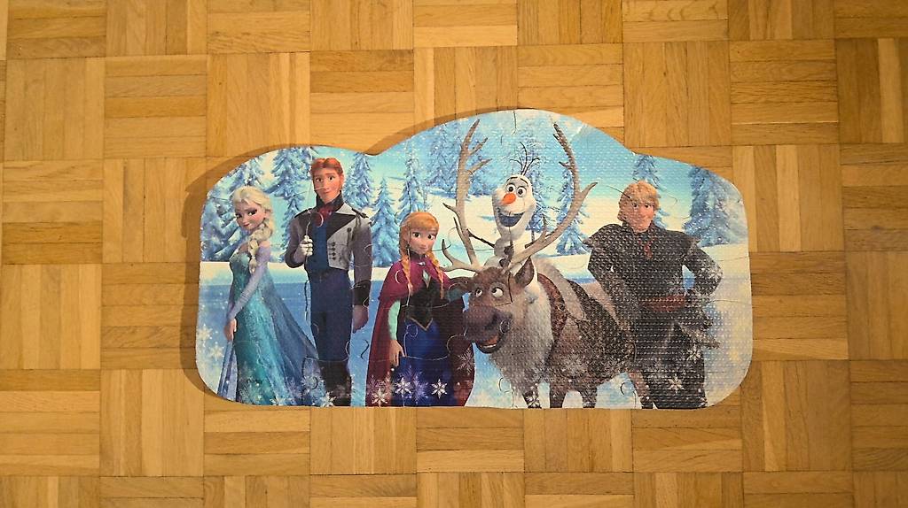 Frozen Elsa - Riesenpuzzle im Kanton Thurgau - tutti.ch