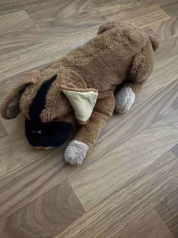 Stofftier Hund im Kanton Zürich - tutti.ch