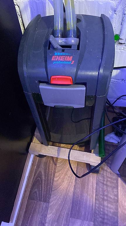 Eheim professionell 3 /160 fr komplett /4+250 Cantone Argovia - tutti.ch