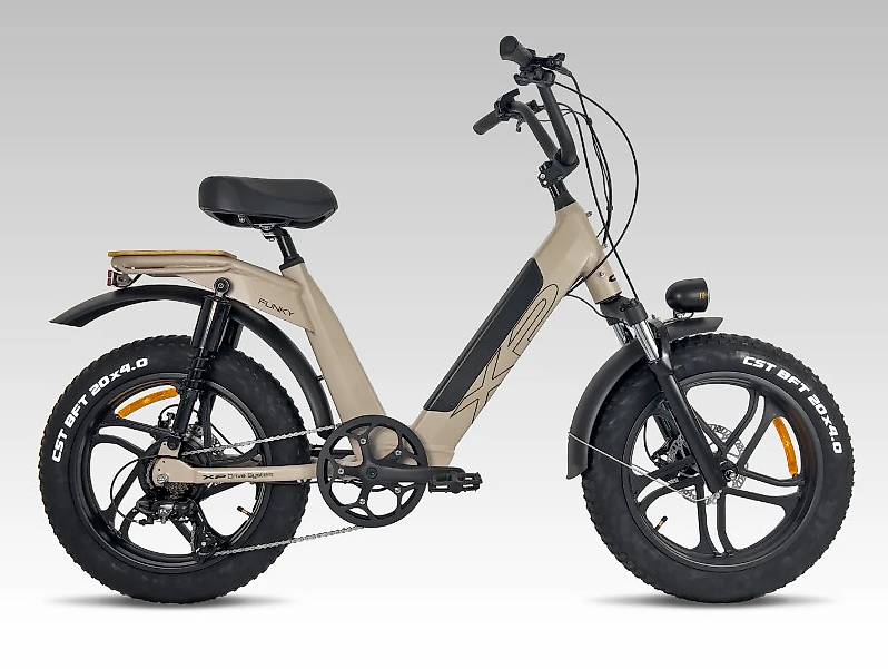 696Wh FAT BIKE ELETTRICA, GARANZIA 3 ANNI, XP BIKES FUNKY Cantone ...