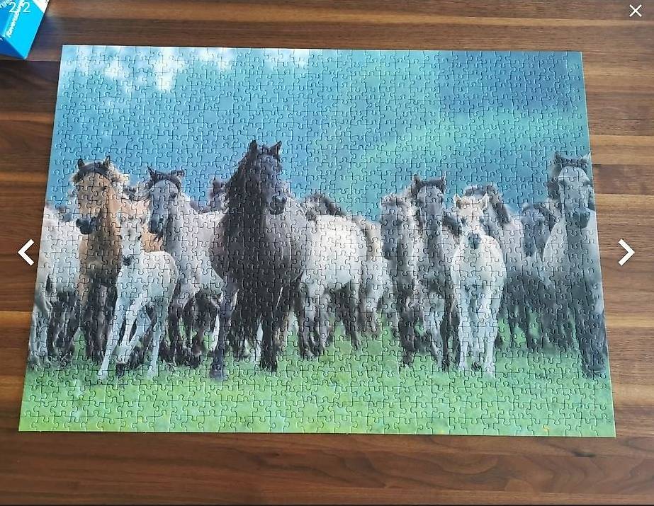 1000 Teile Puzzle - Pferde im Kanton Basel-Landschaft - tutti.ch