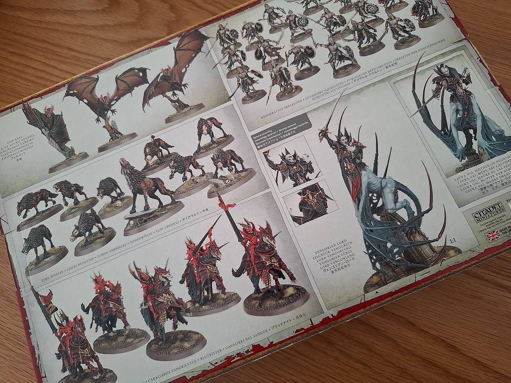 Warhammer, Age Of Sigmar, Vengorian Court im Kanton Tessin - tutti.ch