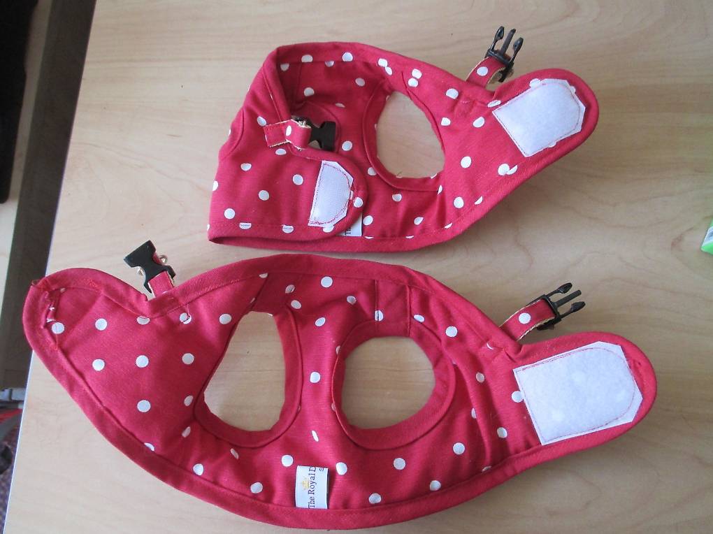 Brustgeschirr getupft von Royal Dog&Cat in Gr.S oder XS NEU Canton ...