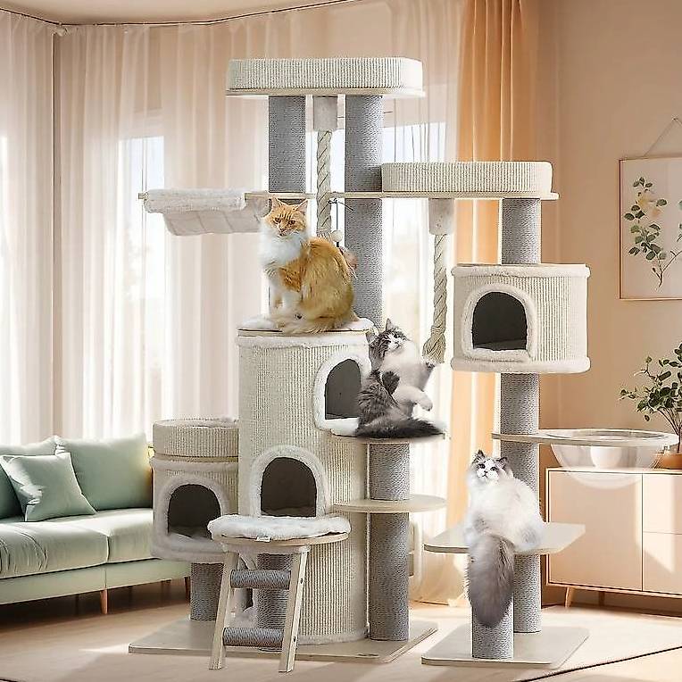 KATZENBAUM KRATZBAUM LANDSCHAFT NEU PREMIUM im Kanton Basel-Landschaft ...