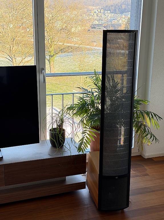 Martin Logan Ethos, High End Elektrostat, traumhaft klingend im Kanton ...
