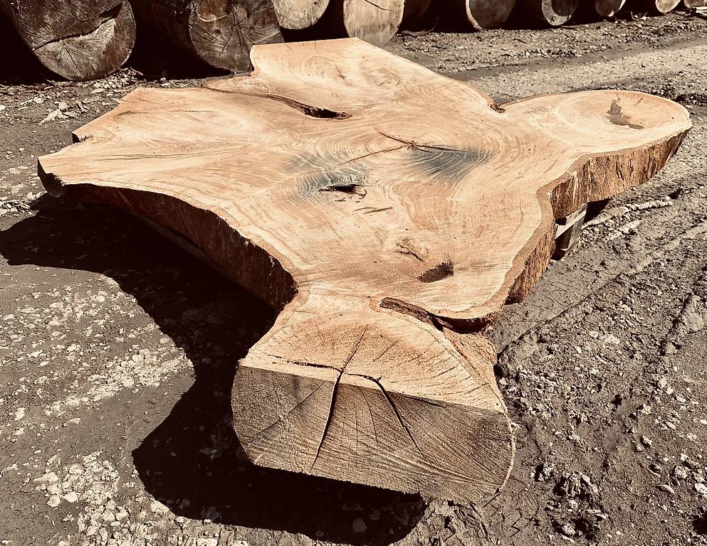 Baumscheibe, Eiche, Tisch, Eichenplatte, Massivholz, Holz im Kanton Bern - tutti.ch