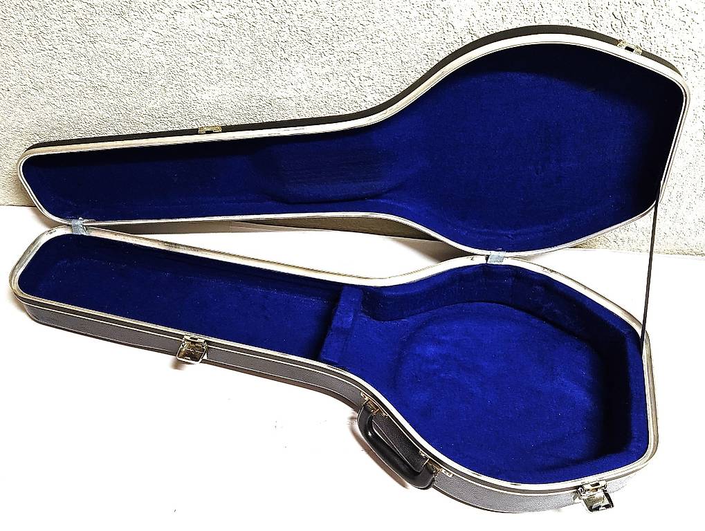 Tenor-Banjo Framus Rarität(mit Holzrahmen) gut spielbare Occ im Kanton ...