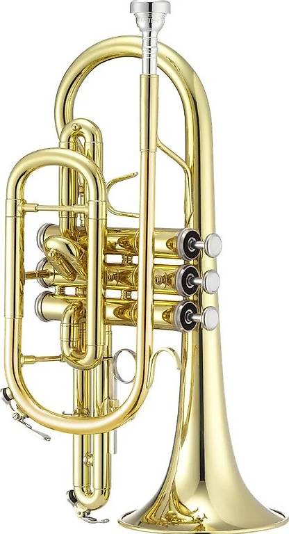 Jupiter Bb Cornet JCR700Q, goldfarbig lackiert, mit Softcase im Kanton ...