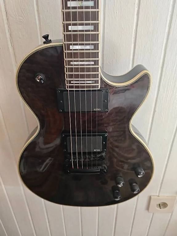 Epiphone Les Paul Prophecy Plus Schwarz/Grau im Kanton Graubünden ...