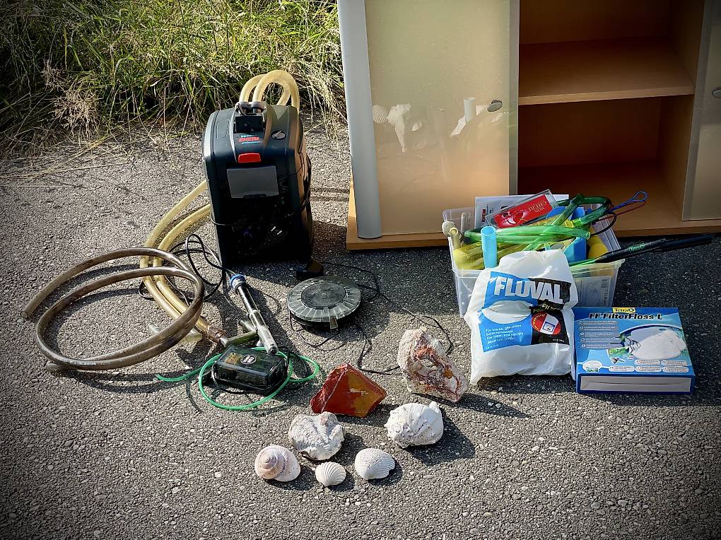 Aquarium im Kanton Solothurn - tutti.ch