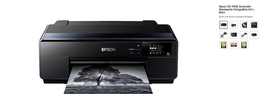 Epson SC-P600 Surecolor Stampante Fotografica A3+, Nero Canton Tessin ...