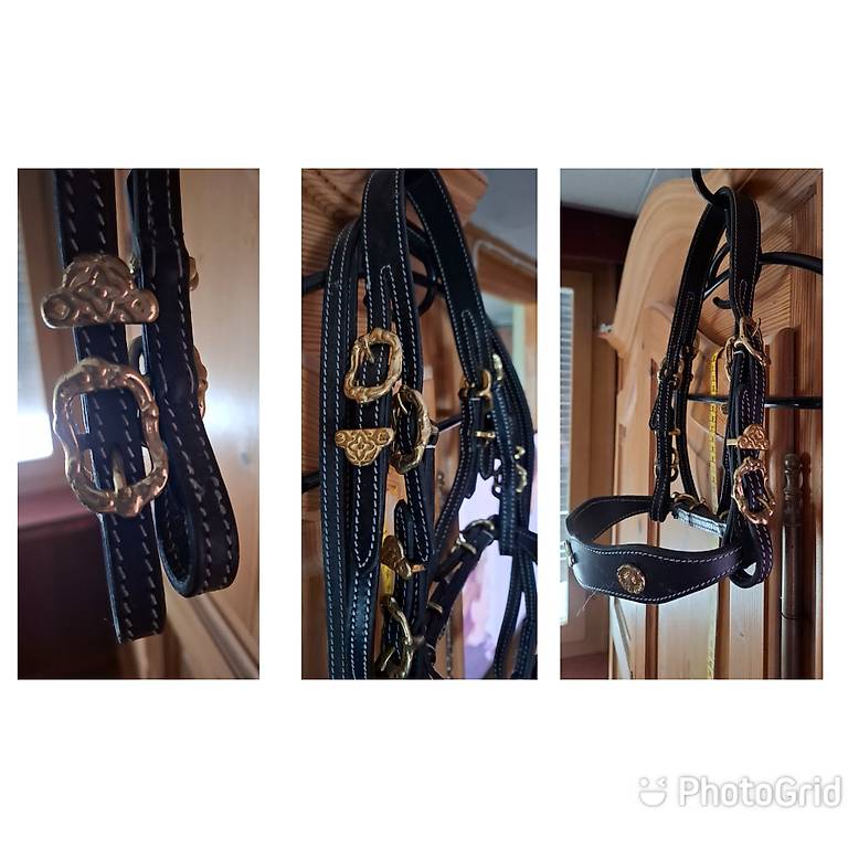 Neuer Barockzaum für Minishetty im Kanton Aargau - tutti.ch