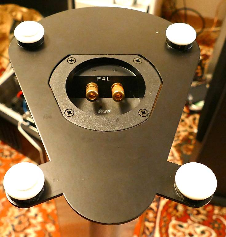 PIEGA P4L MK II Stand-Lautsprecher in ALU Silber 2-Wege im Kanton ...