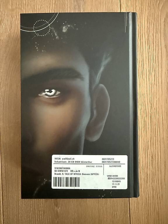 The Tale of Wycca: Demons - Sandy Brandt im Kanton Aargau - tutti.ch