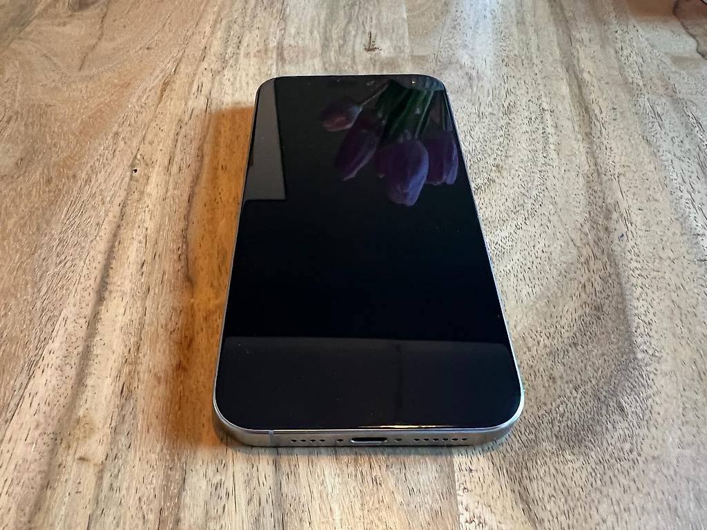 iPhone 15 Pro Max Natural Titanium 256 GB im Kanton Zürich - tutti.ch