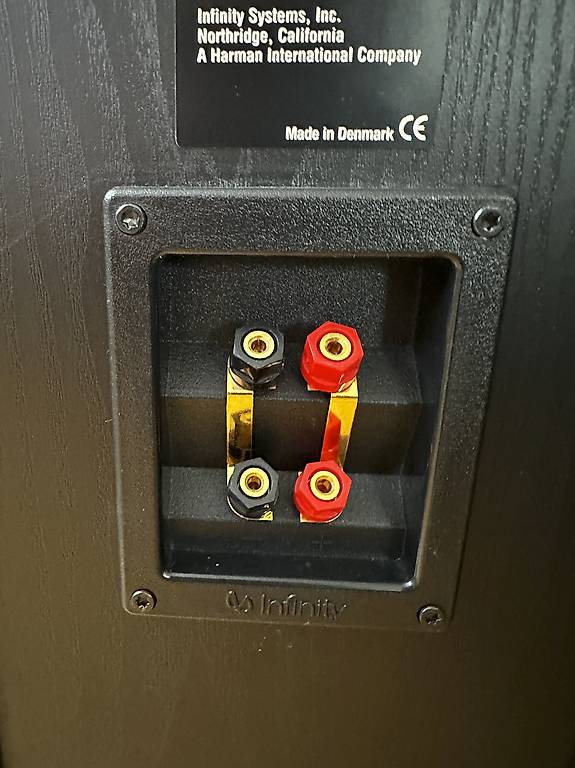 Infinity Alpha 40 Standlautsprecher im Kanton Aargau - tutti.ch