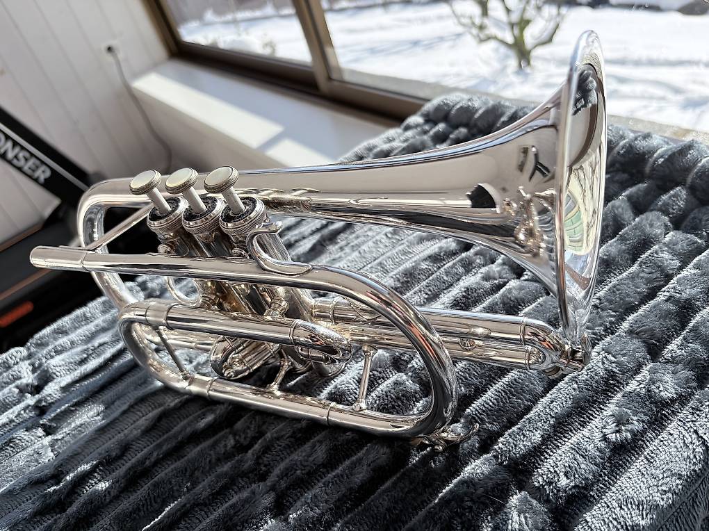 Cornet Yamaha YCR 6335 im Kanton St. Gallen - tutti.ch