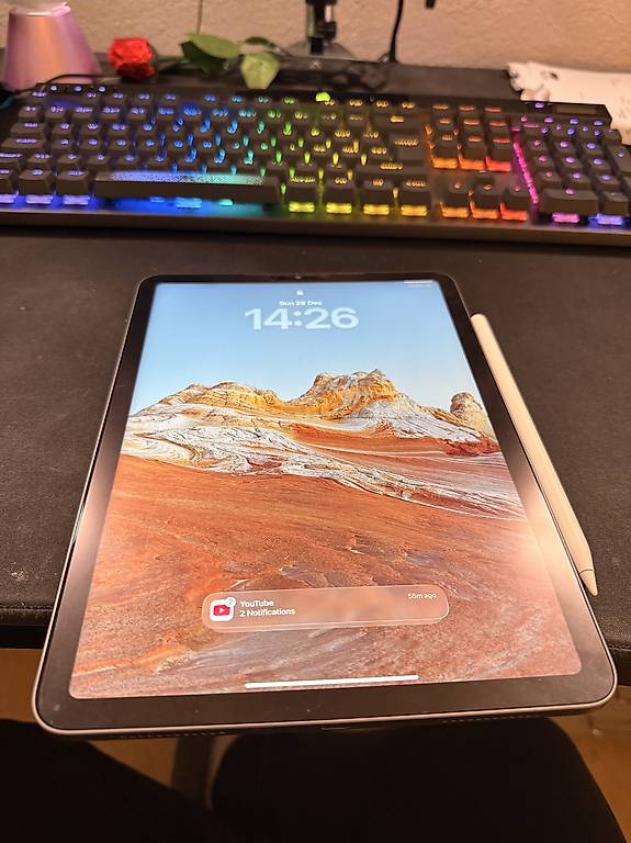 iPad Air (5th Gen) M1 Chip, 256 GB im Kanton Zürich - tutti.ch