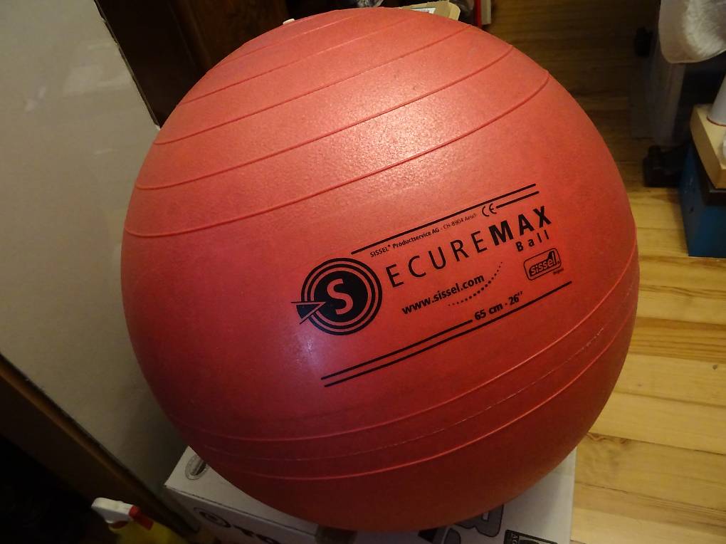 PALLONE FITNESS - 65 cm (cm 55 e cm 75 pure disponibili) Cantone Ticino ...