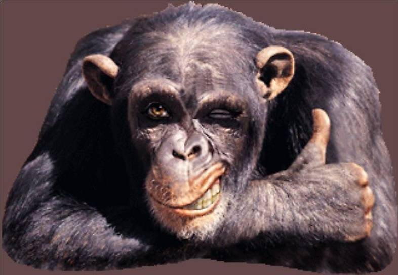 HP Color LaserJet E77825/E77830/E78228/E78330 Fuser, Z9M03A im Kanton ...