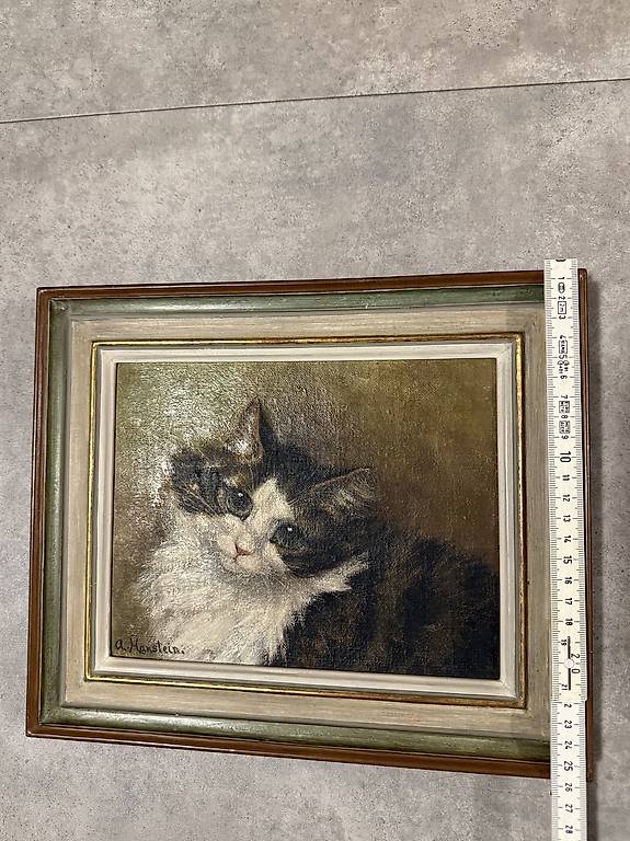 Katzenbild von a. Hanstein. im Kanton Thurgau - tutti.ch