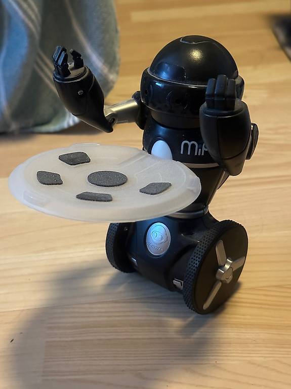 MIP Roboter im Kanton Freiburg - tutti.ch