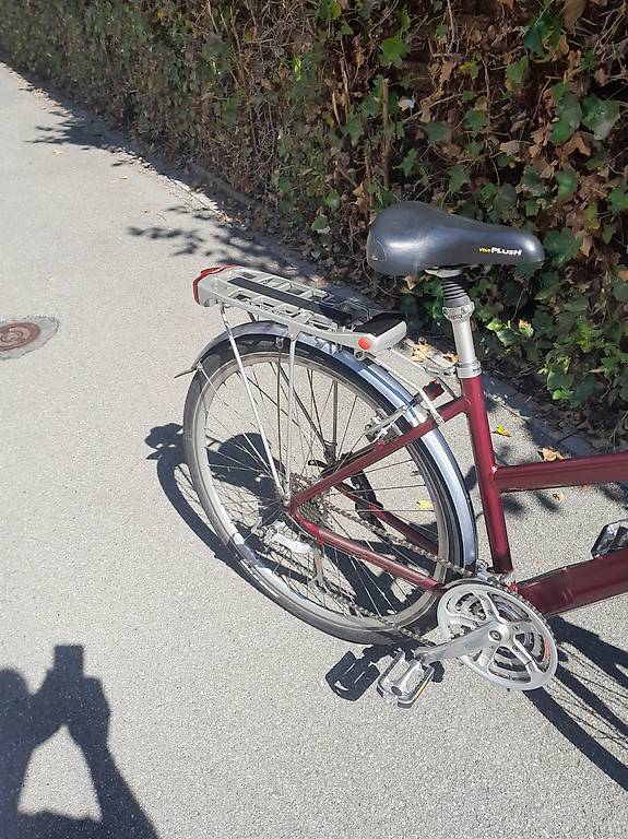 Damen Velo Cresta Veloce Frisch ab Service Cantone Berna - tutti.ch