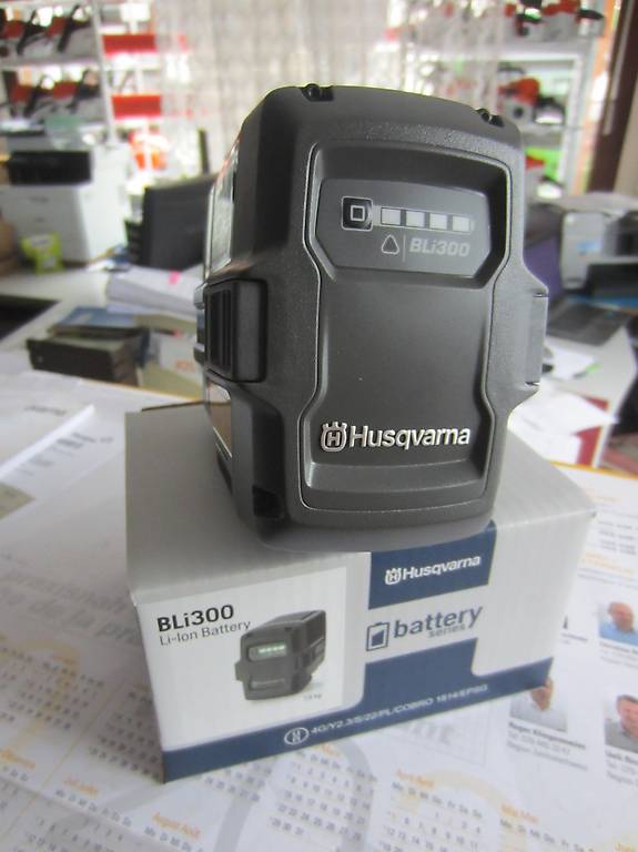 Husqvarna Akku BLi 300 im Kanton Thurgau - tutti.ch