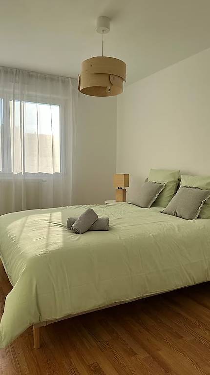 Appart 3 pièce Huningue, frontière Bâle en Haut Rhin France im Kanton ...