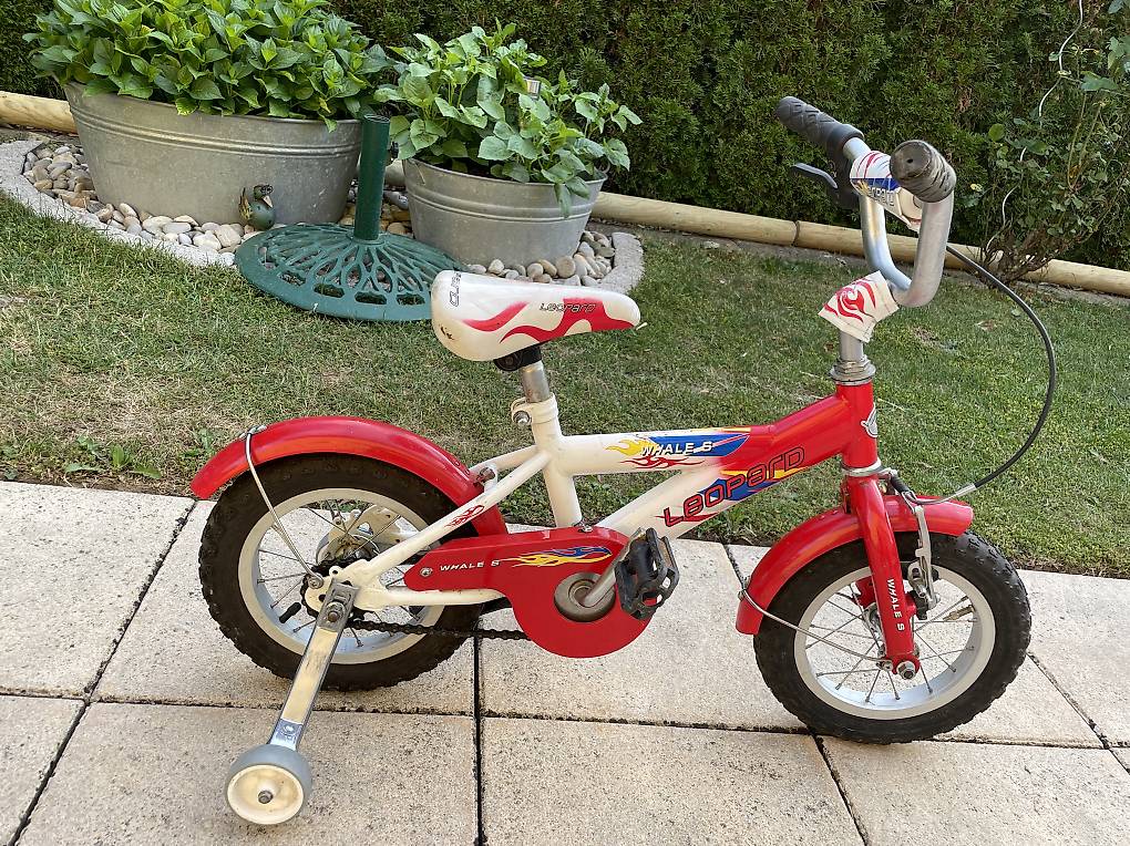 Kindervelo Kidmax 14zoll/Leopard 12 zoll im Kanton Bern - tutti.ch