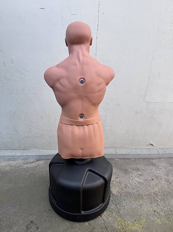 Century Bob Torso mit Tiefbereich im Kanton Bern - tutti.ch