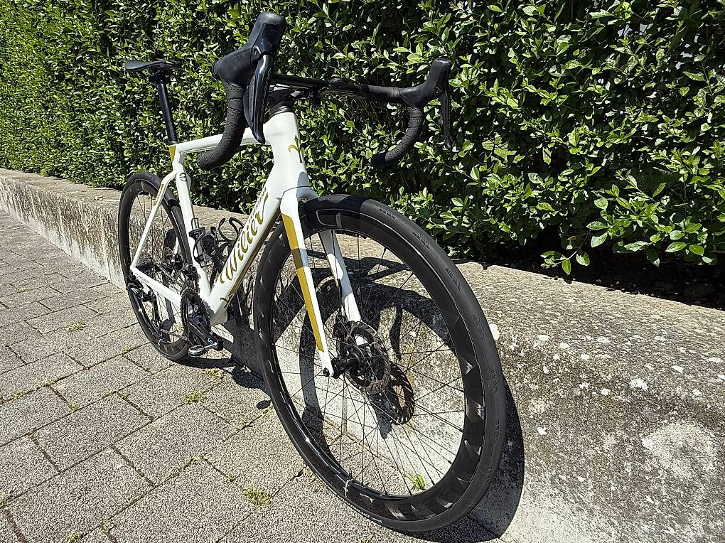 Wilier Filante SLR, Custom, 2024, Gr. L 56 im Kanton Luzern - tutti.ch