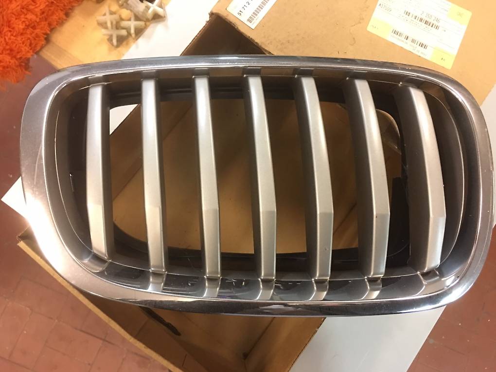 BMW X6 griglie originali, Gitter Original Canton Tessin - tutti.ch