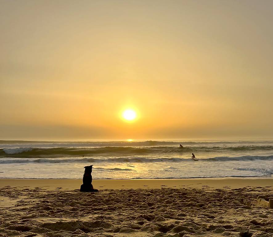 Surfboard Minimalibu Super Hi Performance 7-6 Neu im Kanton Zürich ...