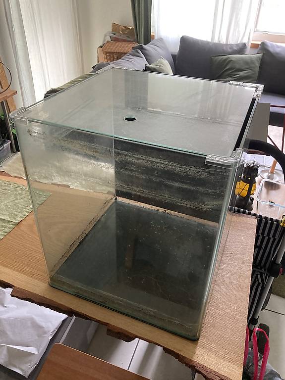 Dennerle Nano Cube 60L im Kanton Aargau - tutti.ch