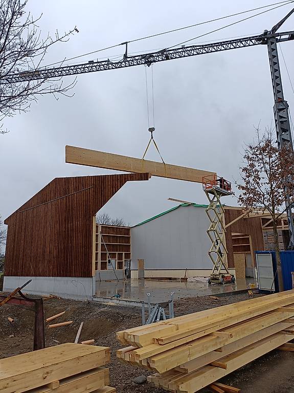 Baukran/ Kran/ Schnellmontagekran Condecta 3010/33 33m im Kanton ...