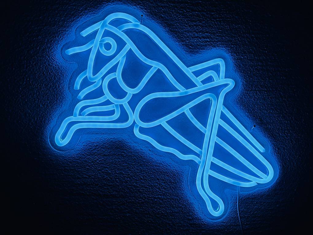 GCZ Neon Sign im Kanton Zürich - tutti.ch