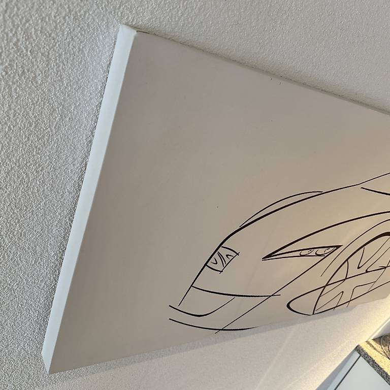 Das Bild für den Seat-Fan im Kanton Bern - tutti.ch