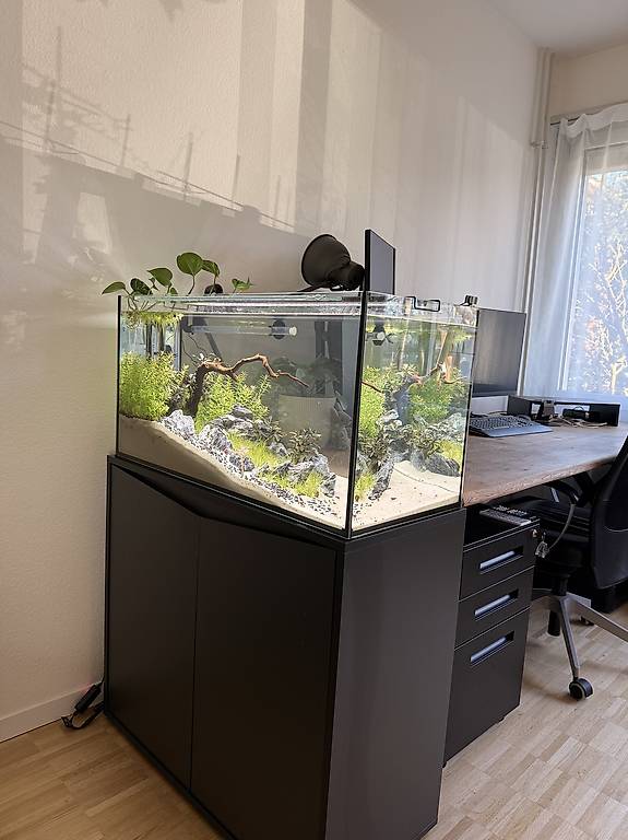 Aquarium Komplett im Kanton Bern - tutti.ch