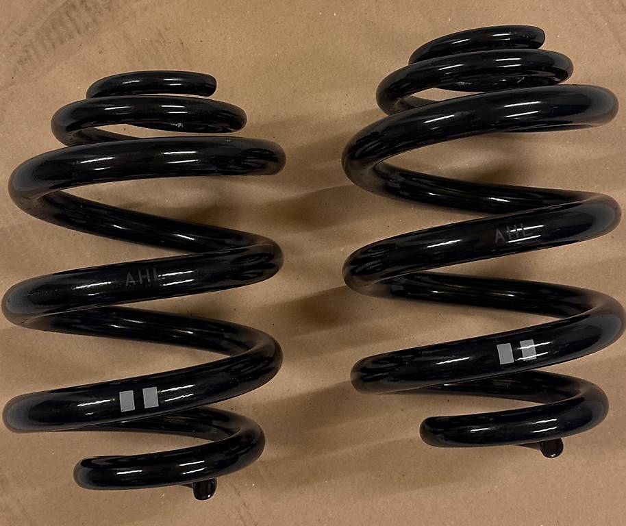 HinterachsFedern VW T5/T6/T6.1 (7J0511115E) Canton Thurgovie - tutti.ch