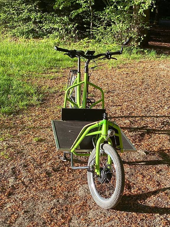 E-Bike-Cargo-Reichweite 100km-Mittelmotor-8Gang-Hund- Box im Kanton ...